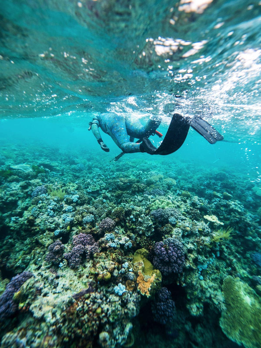 Freedive and spearfishing retreat in the Whitsundays – Salt Sessions